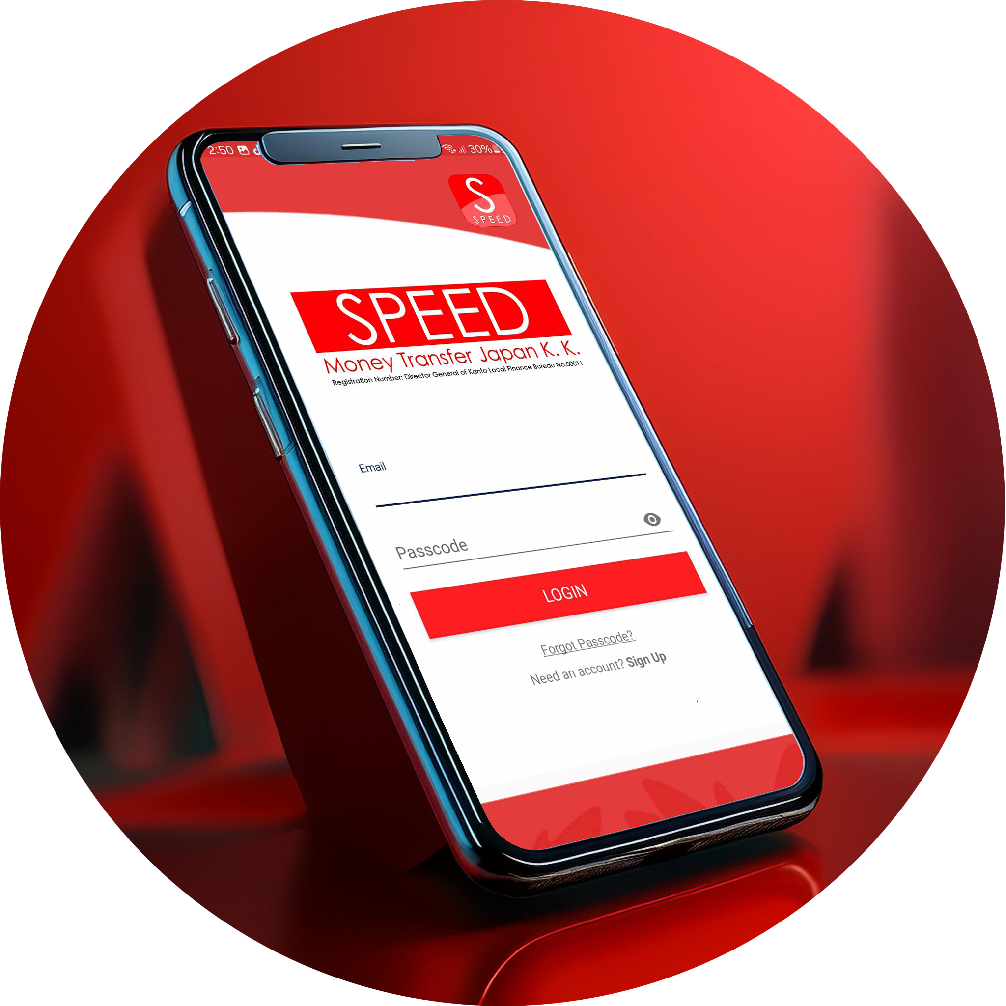 Speed Money Transfer Japan